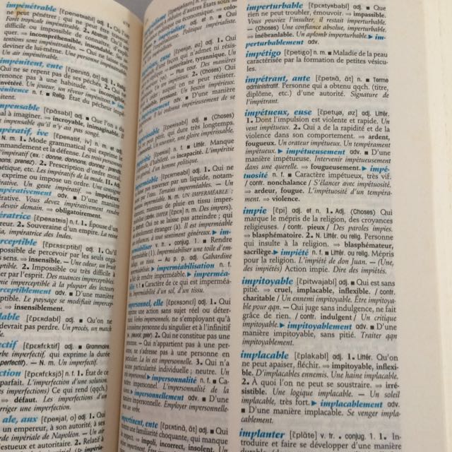 French Dictionary Le Robert Micro Hobbies Toys Books Magazines