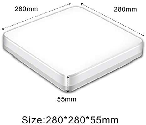 LED Ceiling Light 24W SUNGNY LED Panel Ceiling Lamp 2000LM Waterproof