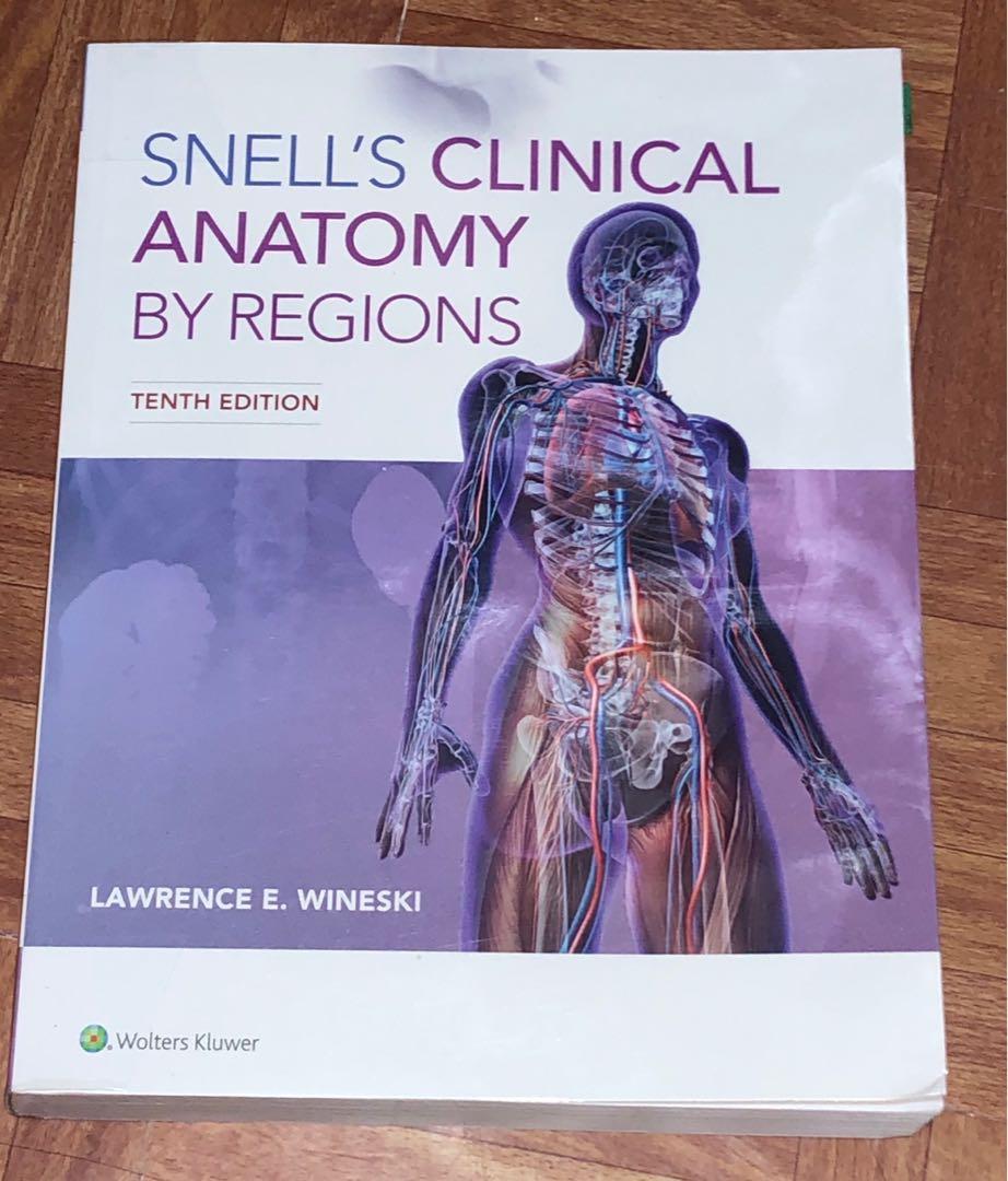 Snell S Clinical Anatomy By Regions 10th Edition Hobbies Toys Books
