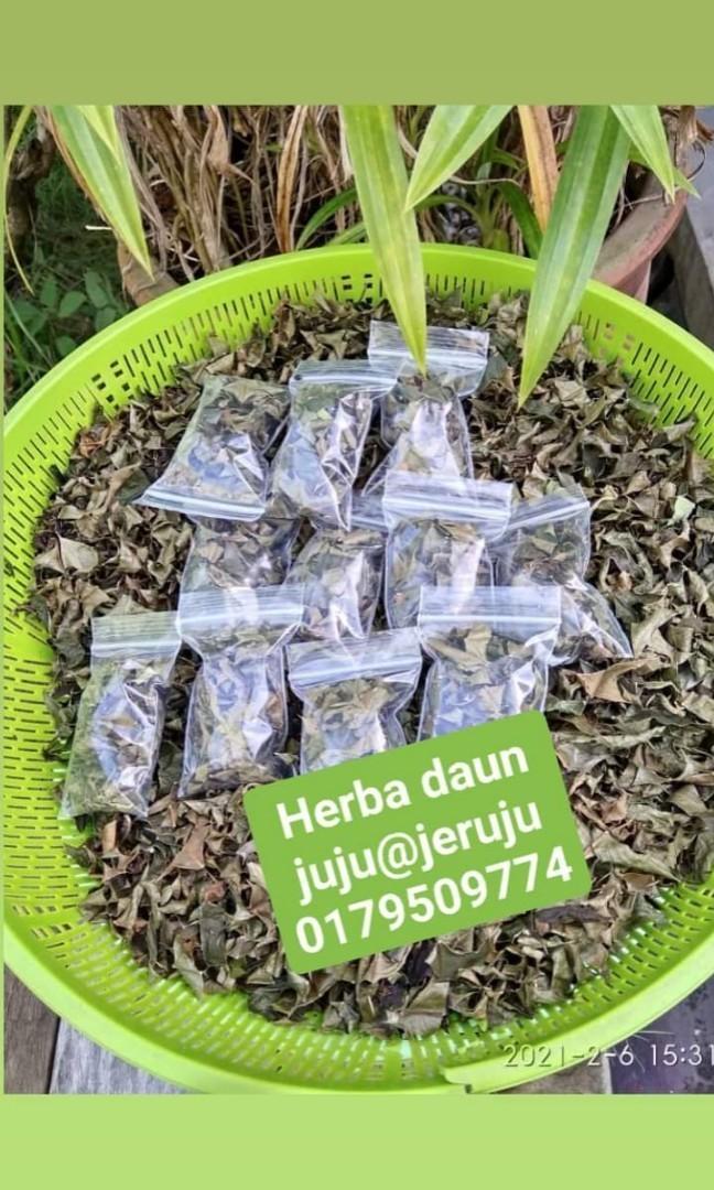HERBA DAUN JERUJU JUJU Everything Else Others On Carousell