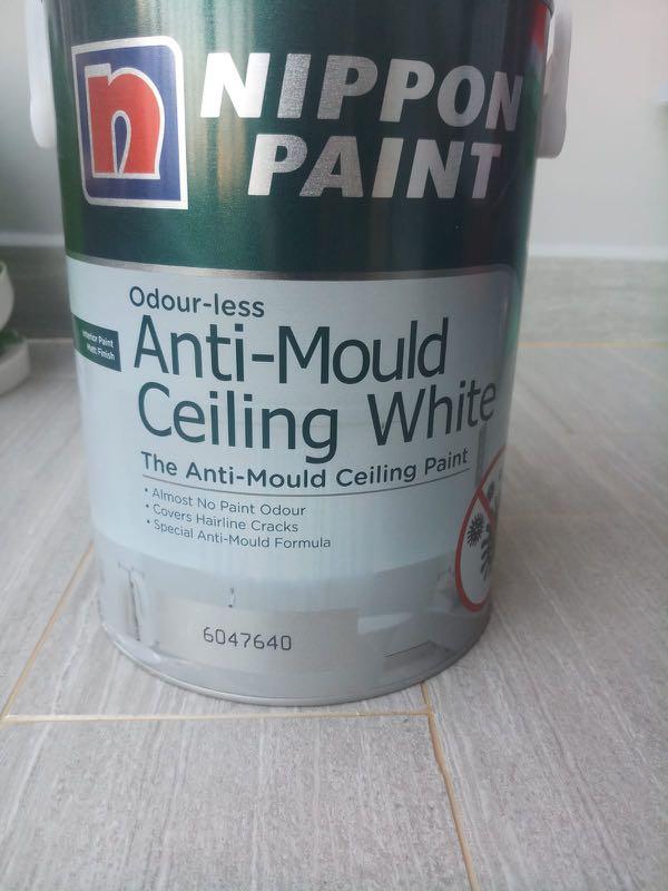 Nippon Paint Anti Mould Ceiling White Everything Else On Carousell