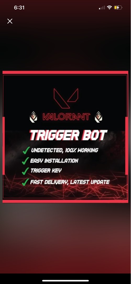 Premium Valorant Triggerbot VALORANT Hack Cheat Aimbot Video Gaming