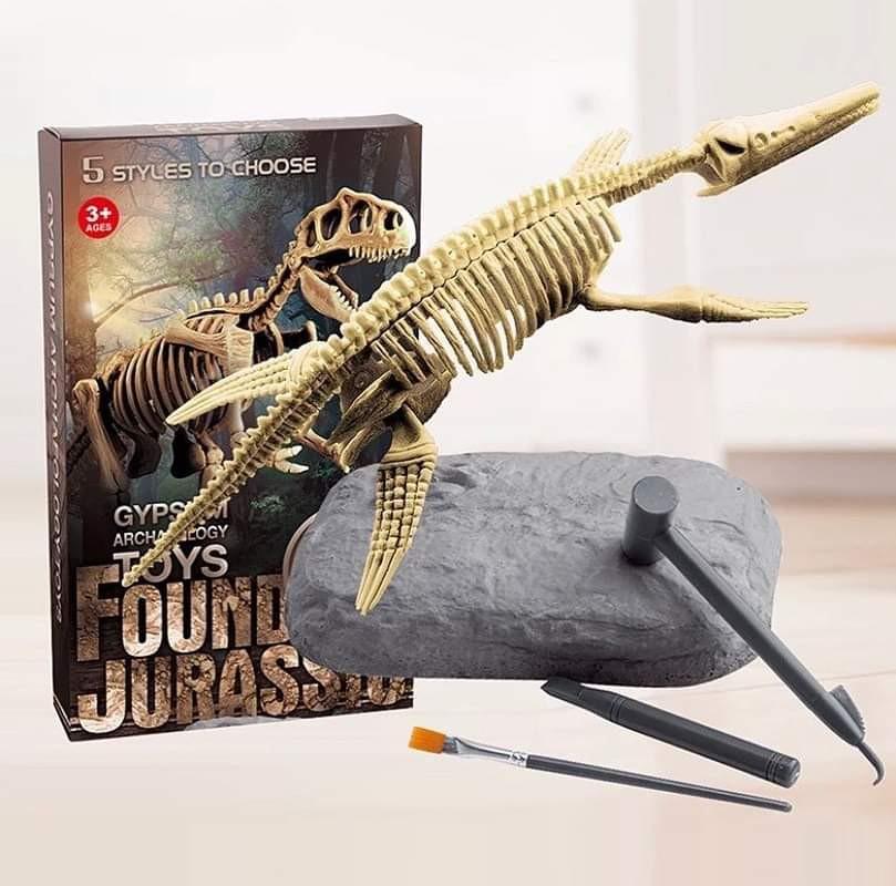 Dinosaur Bones Gypsum Archaeological With Excavation Kit Hobbies