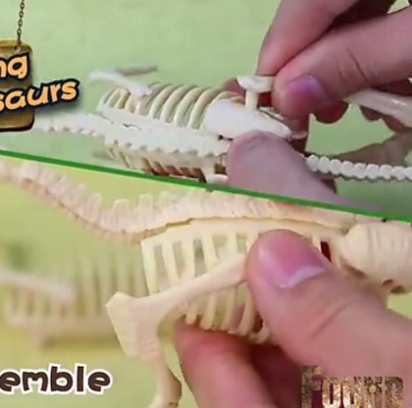 Dinosaur Bones Gypsum Archaeological With Excavation Kit Hobbies