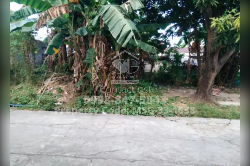 MSG 33 1638 Sunrays Village Sta Maria Bulacan FORECLOSED