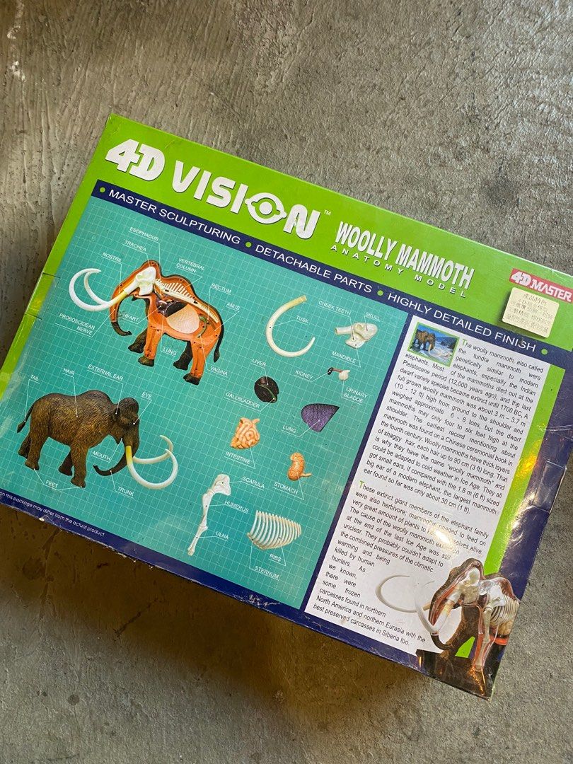 4D VISION 長毛象立體組合模型 全新未拆封 興趣及遊戲 玩具與遊戲在旋轉拍賣