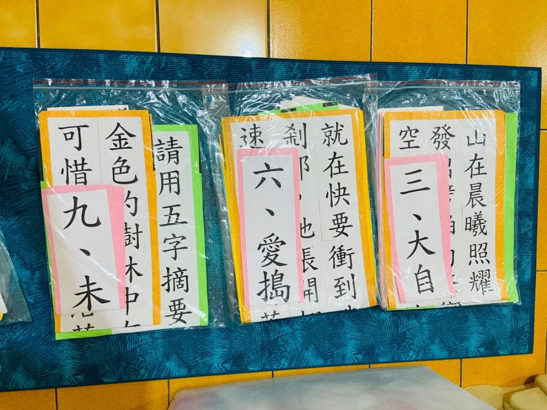 國小教甄教具 康軒國語5下6下 不拆售 五年級 六年級 小學教具 新北 書籍休閒與玩具 書本及雜誌 教科書參考書在旋轉拍賣