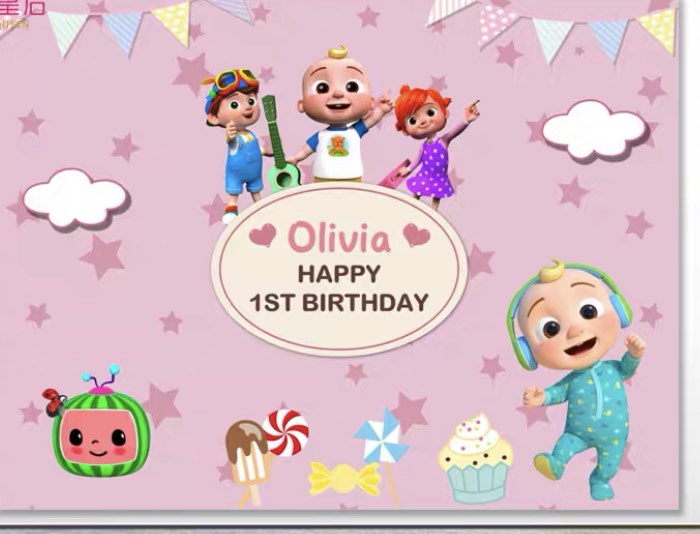 Customise Name Cocomelon Birthday Canvas Banner Free Delivery