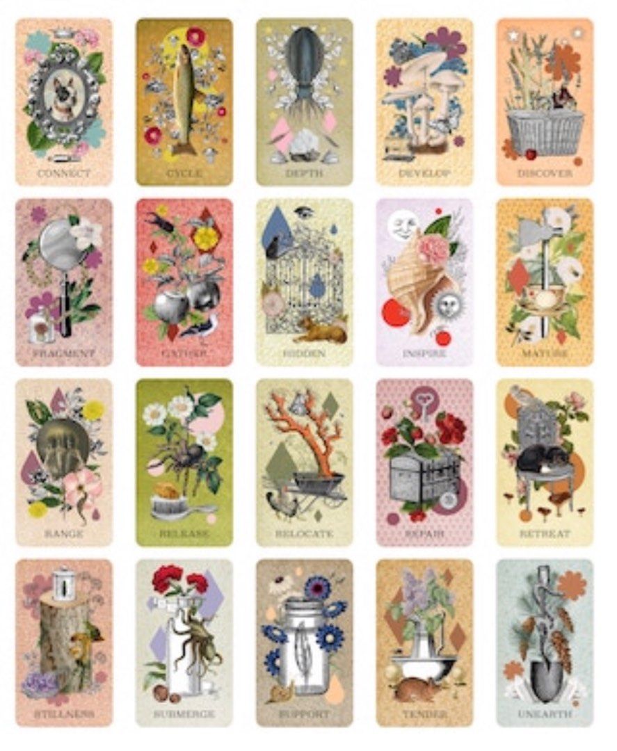 Coastal Curiosities Oracle Deck By Lennox Rees Tarot Beginner