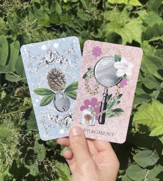 Coastal Curiosities Oracle Deck By Lennox Rees Tarot Beginner