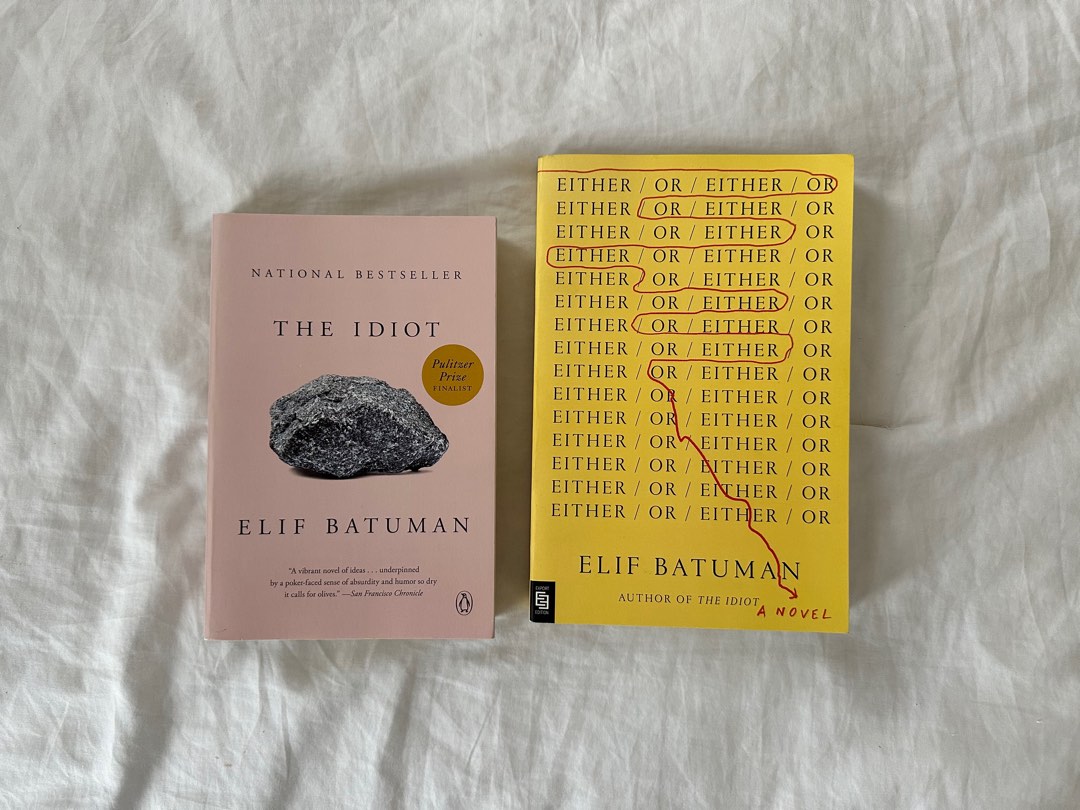 The Idiot And Either Or Elif Batuman Book Set Hobbies Toys Books