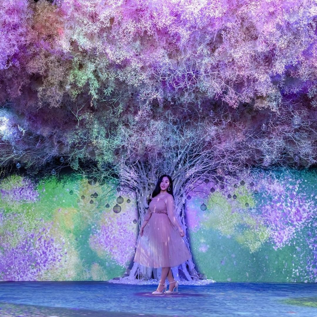 33折 NAKED FLOWERS 花舞光影展 香港站 展覽 門票 飛 teamLab類型體驗 門票禮券 活動門票 Carousell