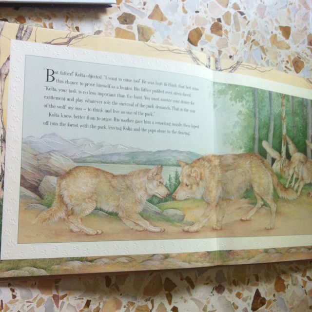 Animal storybooks: The midnight bear, The way of the wolf & Tale of a ...