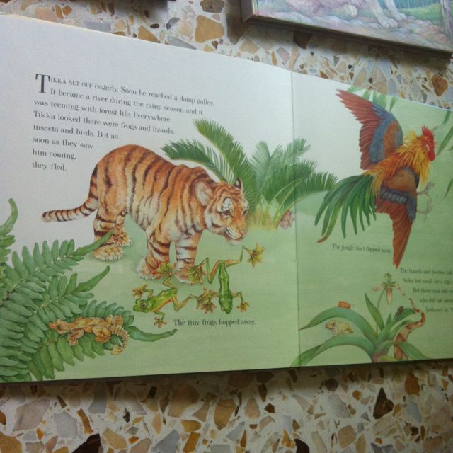 Animal storybooks: The midnight bear, The way of the wolf & Tale of a ...