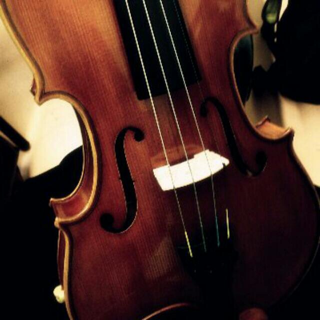 Synwin 4/4 Violin, Hobbies & Toys, Music & Media, Musical Instruments ...