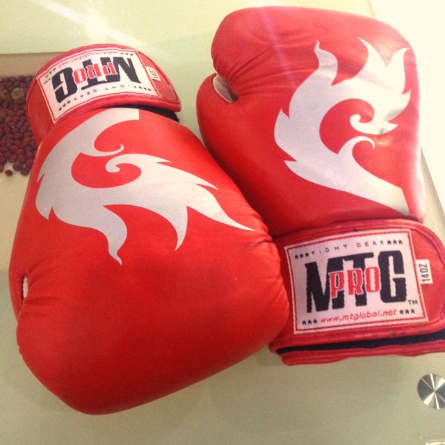MTG Pro Muay Thai/Boxing Gloves, Sports Equipment, Sports & Games ...