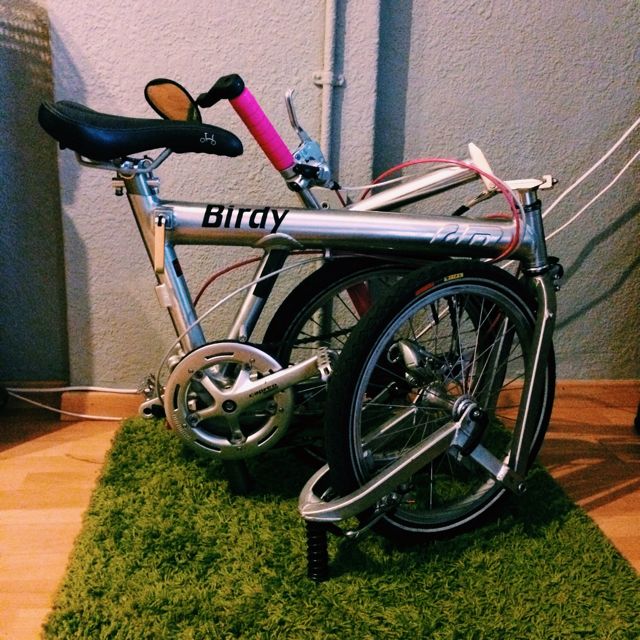 First Generation Birdy Classic, Sports Equipment, Bicycles & Parts ...