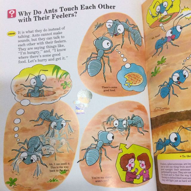 Set of A Child's First Library Of Learning, Hobbies & Toys, Books ...