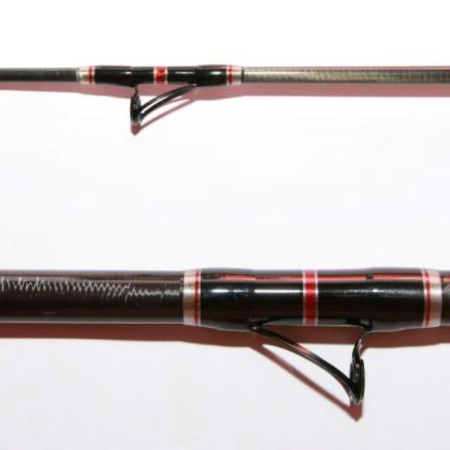 Daiwa Saltiga Surf Rod, Sports Equipment, Fishing on Carousell