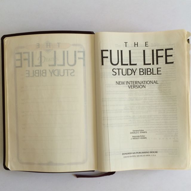 The Full Life Study Bible NIV Bonded Leather, Hobbies & Toys, Books ...