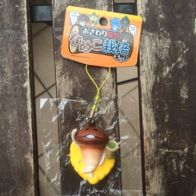 Nameko On Leaf Squishy, Women's Fashion, Watches & Accessories, Other ...