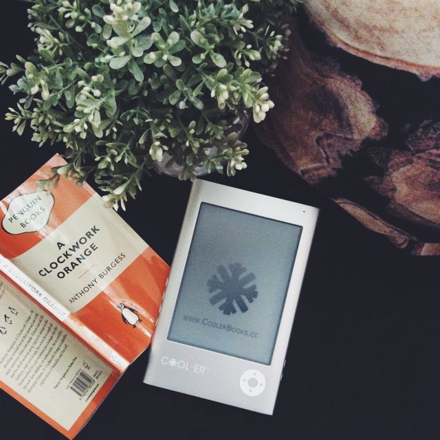 Basic e-reader, Hobbies & Toys, Books & Magazines, Assessment Books on ...