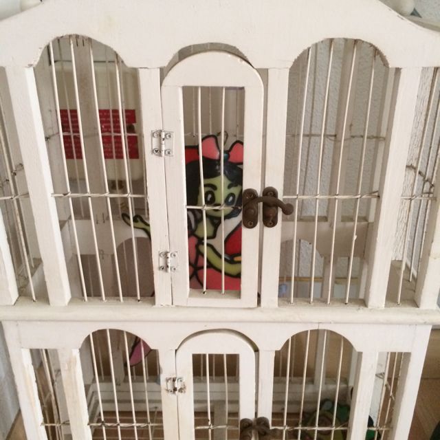 * Reserve* Display Cage, Furniture & Home Living, Furniture, Shelves ...