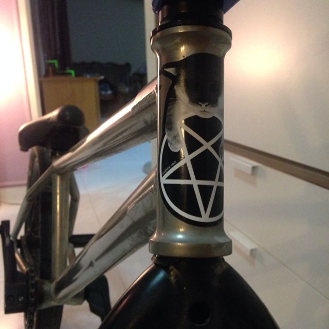 BMX (Mutiny Loosefer Frame), Sports Equipment, Bicycles & Parts ...