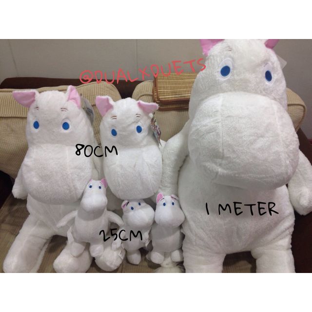 POONG POONG, Bulletin Board, Preorders on Carousell