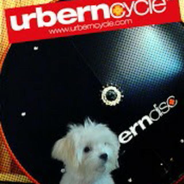 Customise Fixie 700c Wheel Disc Cover, Sports Equipment, Bicycles ...