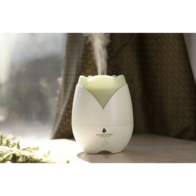 Young Living Home Diffuser, Everything Else on Carousell