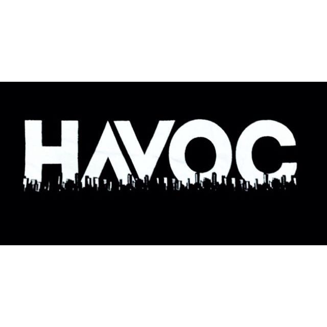 Havoc T-Shirt (Black), Men's Fashion, Tops & Sets, Tshirts & Polo ...