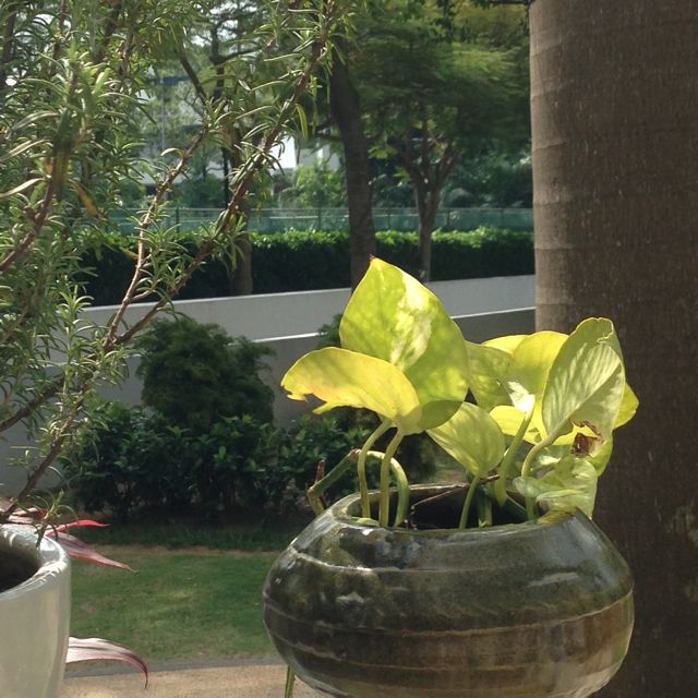 Handmade pot set of 2, Furniture & Home Living, Gardening, Pots ...