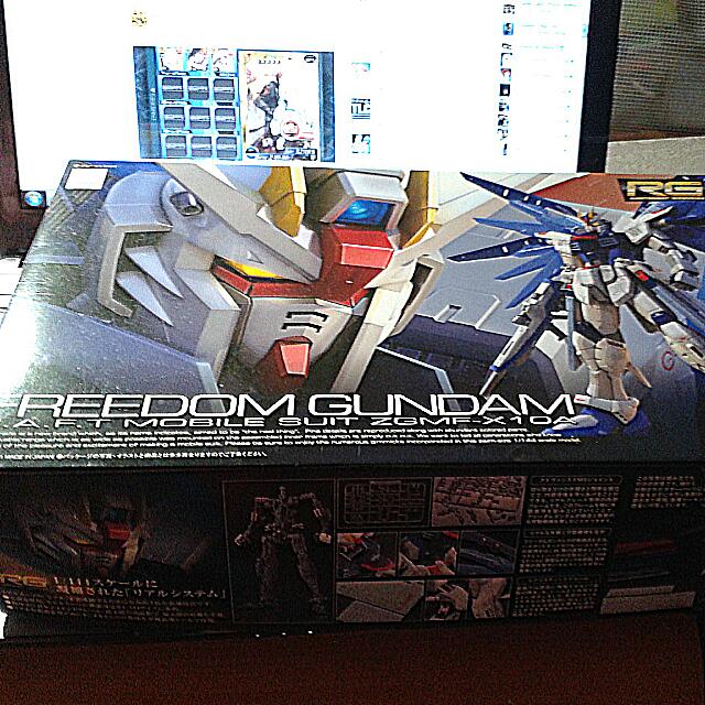 RG Freedom gundam Reg Edition, Hobbies & Toys, Toys & Games on Carousell