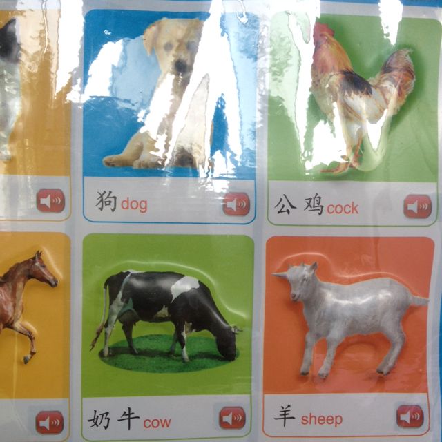 Educational Chart (animals) With Sounds English And Chinese ...