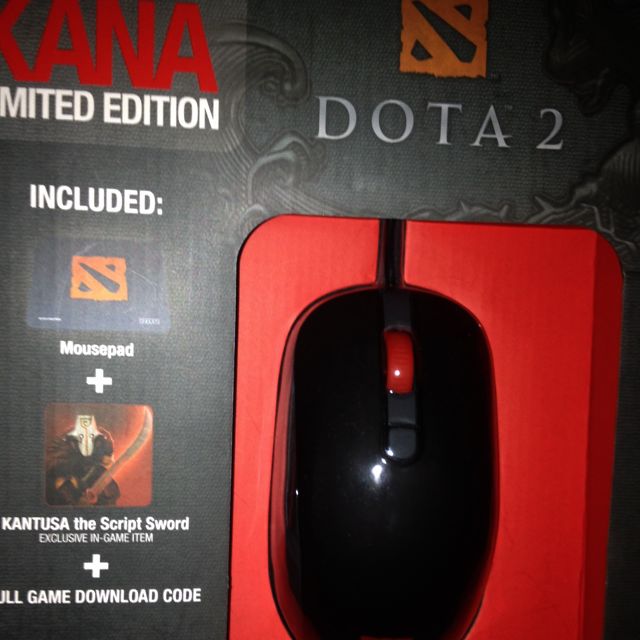 Steelseries Kana Mouse Dota 2, Computers & Tech, Parts & Accessories ...