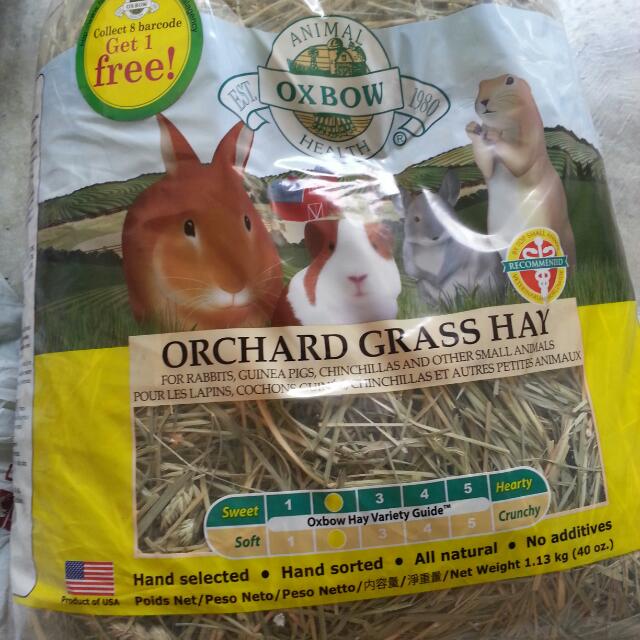 Orchard Grass Hay, Pet Supplies, Homes & Other Pet Accessories on Carousell