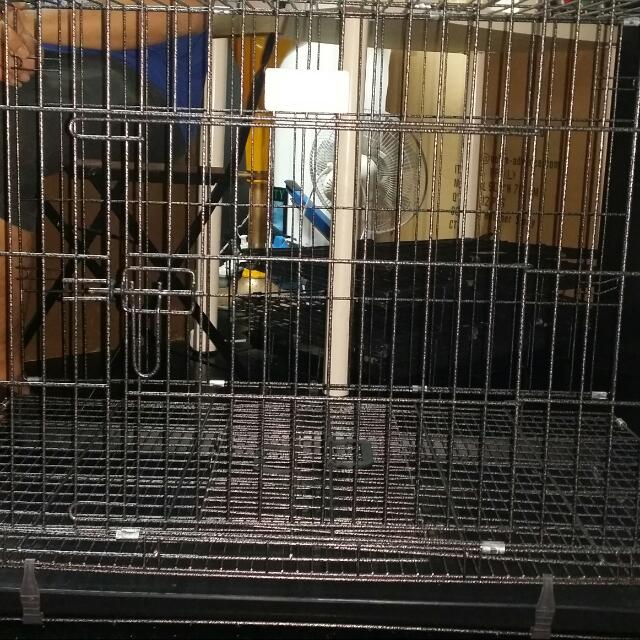 Foldable 3FT Pet Cage w/Pull-Out Tray , Pet Supplies, Homes & Other Pet ...