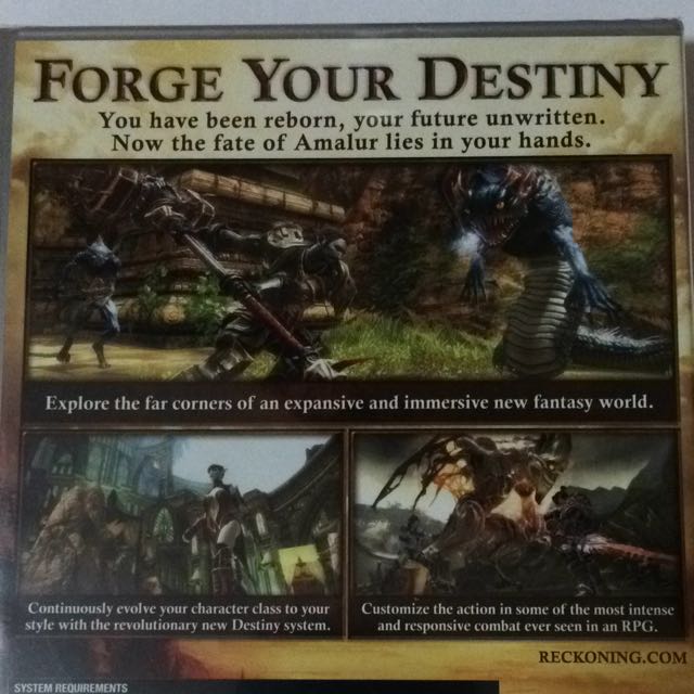 Reckoning - PC Game, Hobbies & Toys, Toys & Games on Carousell