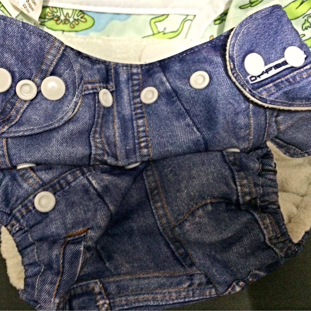 12 Cloth Diapers Nappy, Brands: Thirsty, Flip, Kawaii Baby, Econobum ...