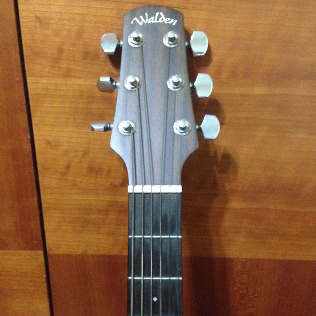 [Pending] Walden D560 Acoustic Guitar, Hobbies & Toys, Music & Media ...