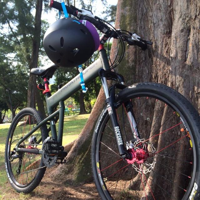 Custom Made Paratrooper Bike, Montague, Bicycle, Foldable Mountain Bike ...
