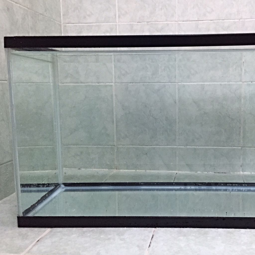 Gex 2ft Fish Tank with Display Rack, Pet Supplies, Homes & Other Pet ...