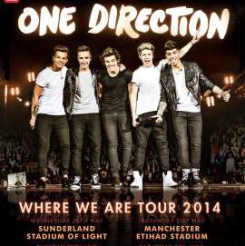 One Direction Cat A Standing Ticket, Tickets & Vouchers, Event Tickets ...