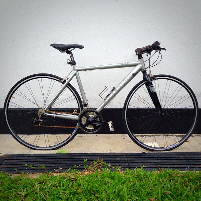 Polygon Trexia, Sports Equipment, Bicycles & Parts, Bicycles on Carousell