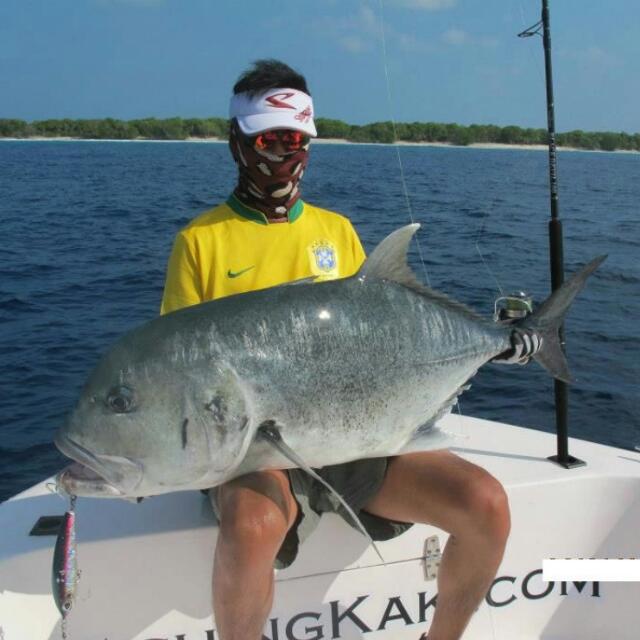 Temple Reef - Black Devil 150 - MSRP, Men's Fashion, Tops & Sets, Swim ...