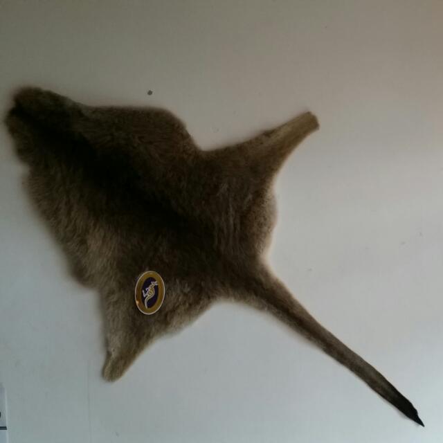 Authentic Kangaroo Skin From MELBOURNE, Everything Else on Carousell