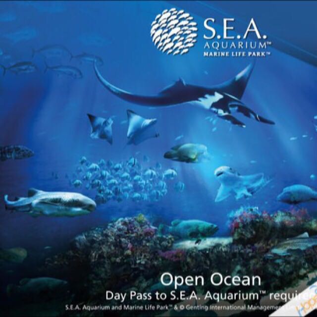 SEA Aquarium & Typhoon Theatre, Tickets & Vouchers, Local Attractions ...