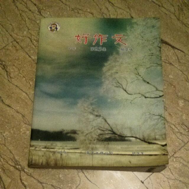 Good Chinese Composition Samples For Secondary - 好作文 中学, Hobbies & Toys ...