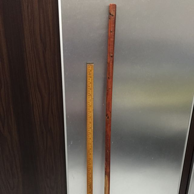 Tongkat Raja Kayu (Damar Minyak), Hobbies & Toys, Memorabilia ...